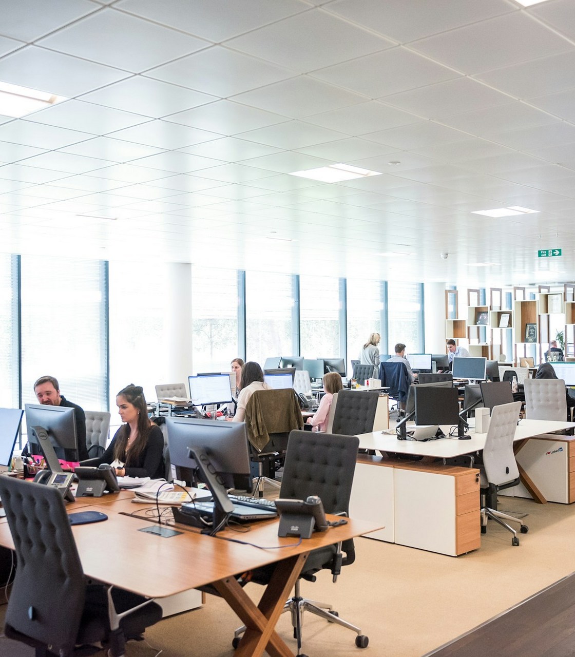 BSc in Business Management & Human Resources